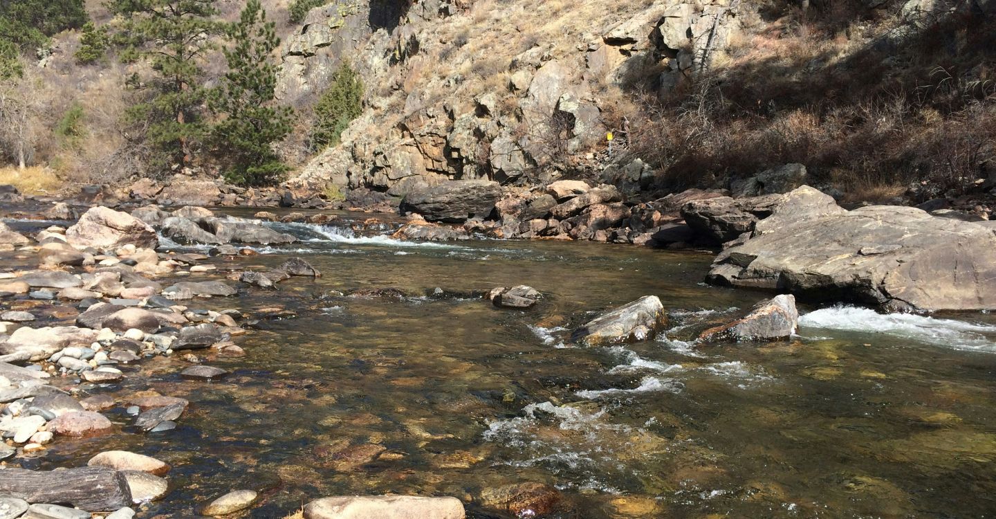 Guide to the Best Whitewater Rafting in Colorado